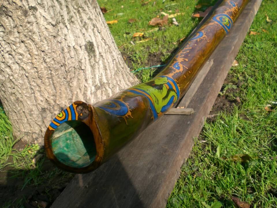 Professional Didgeridoo